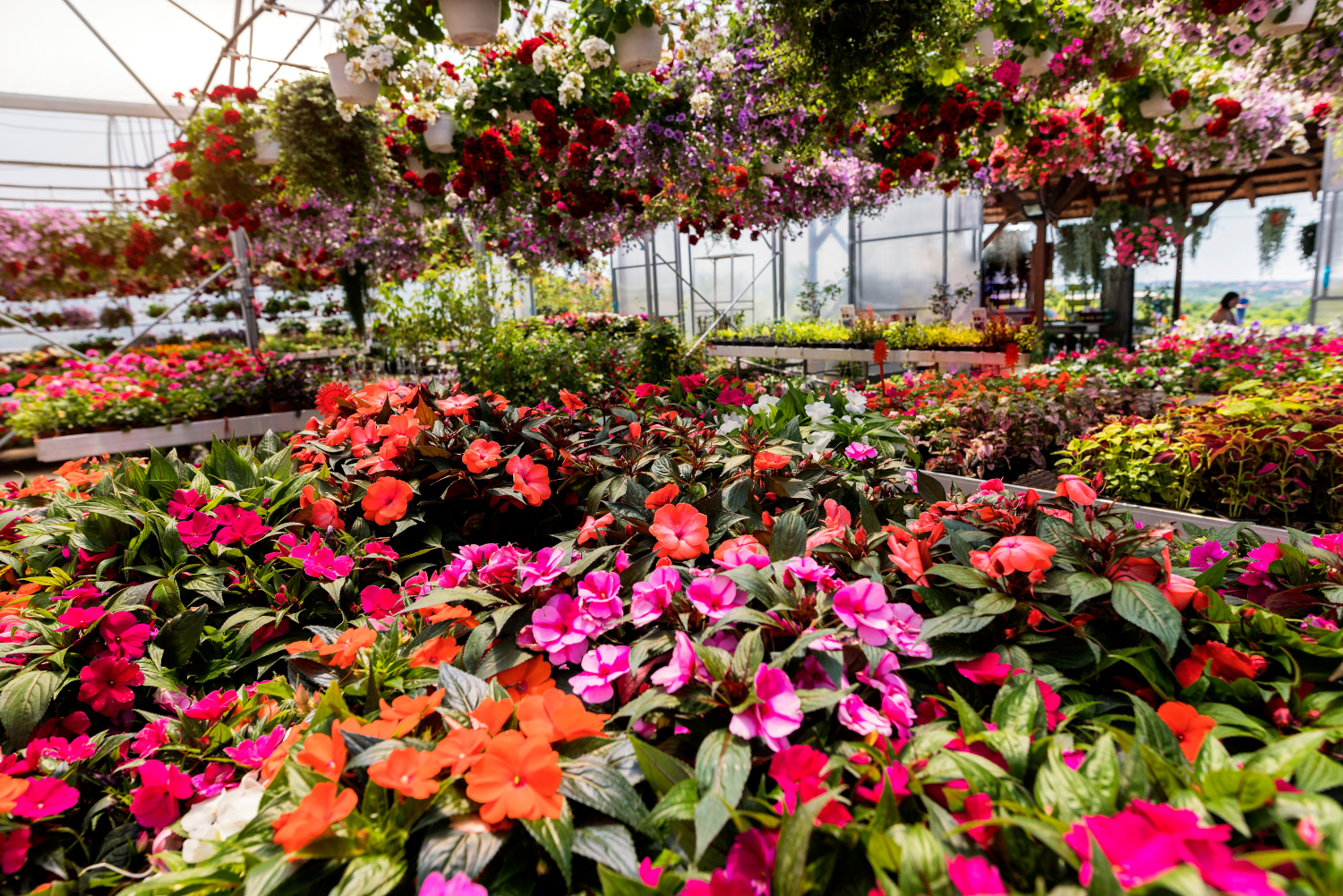 Tuincentrum Osdorp: Alle informatie